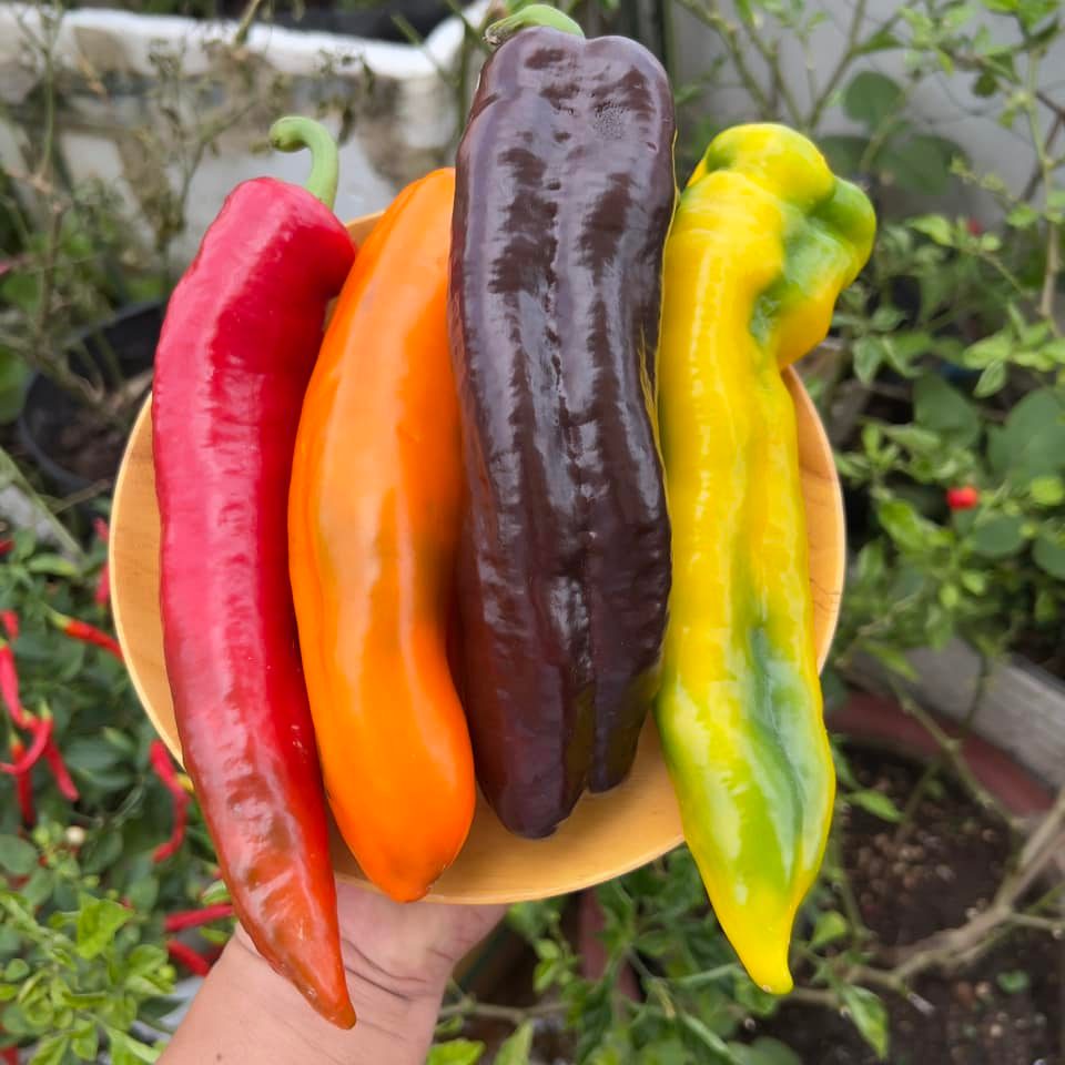 Hoàng Khôi Food - Thực Phẩm Sạch