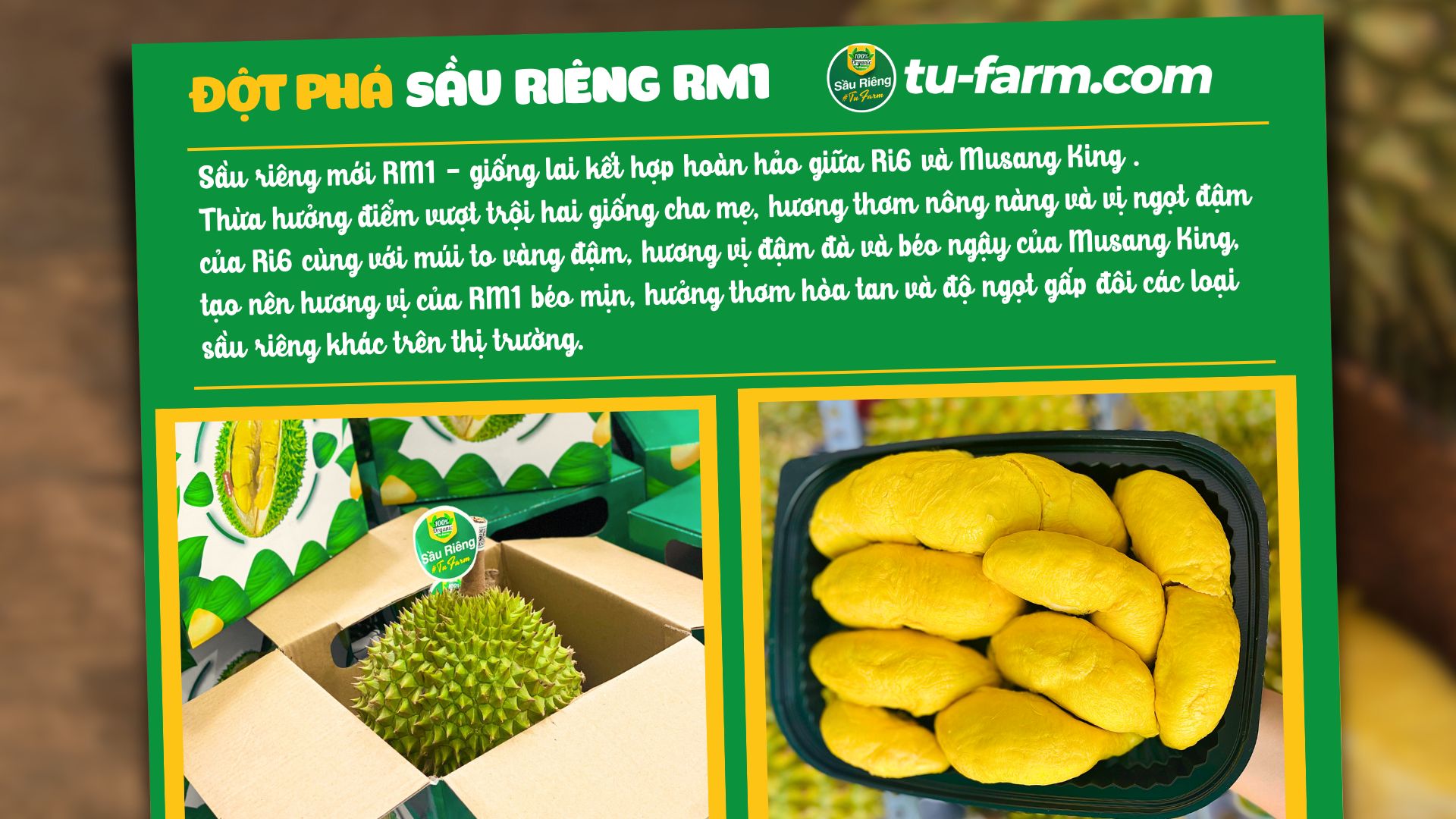 Trái - Sầu Riêng RM1 TU FARM ( GIỐNG MỚI )