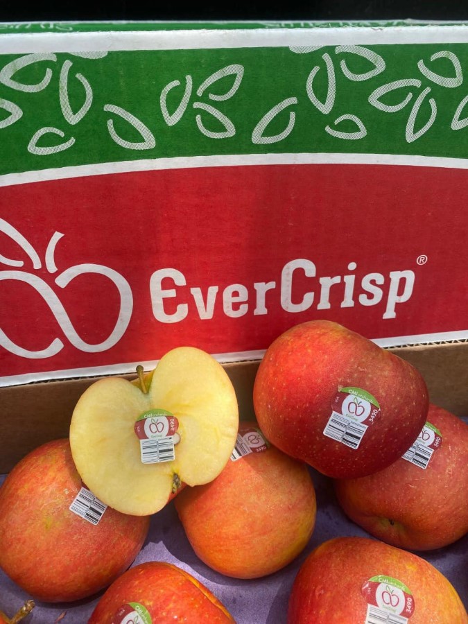 Hoàng Khôi Food - Thực Phẩm Sạch