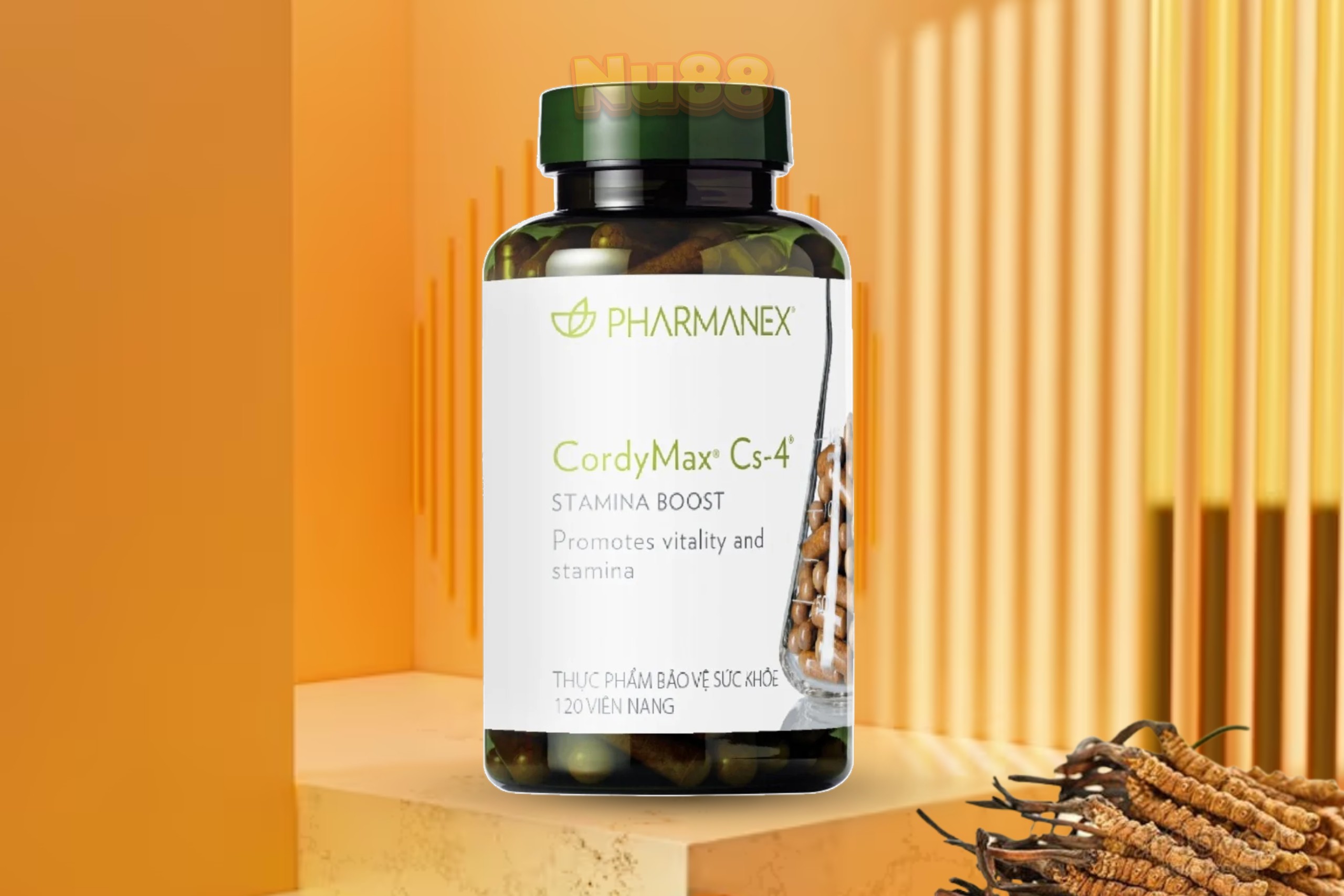 Mua Đông Trùng Hạ Thảo Cordymax CS-4 Nuskin Chính Hãng Giá Rẻ