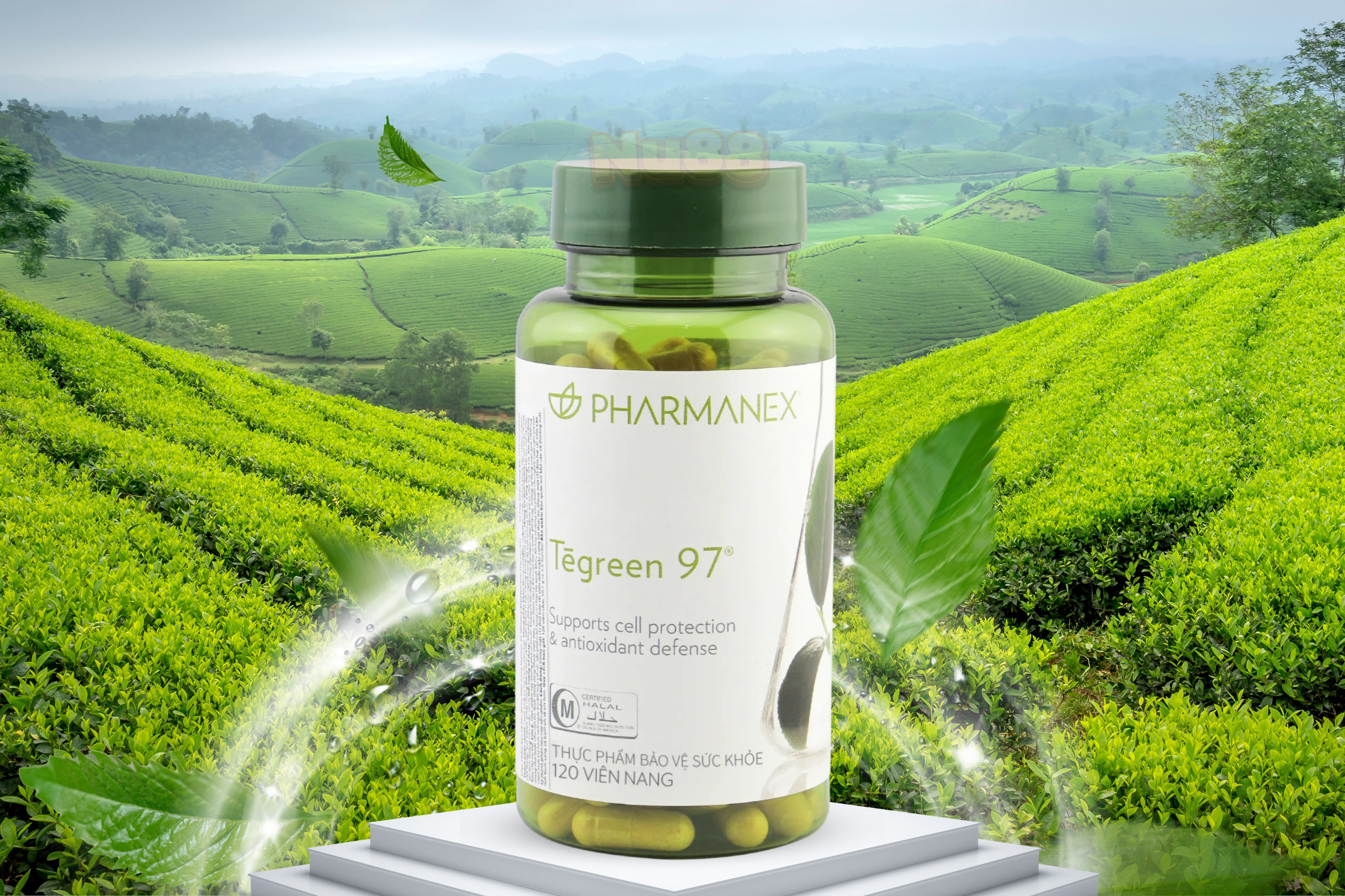 Mua Trà Xanh Tegreen 97 Nuskin Chính Hãng Giá Rẻ