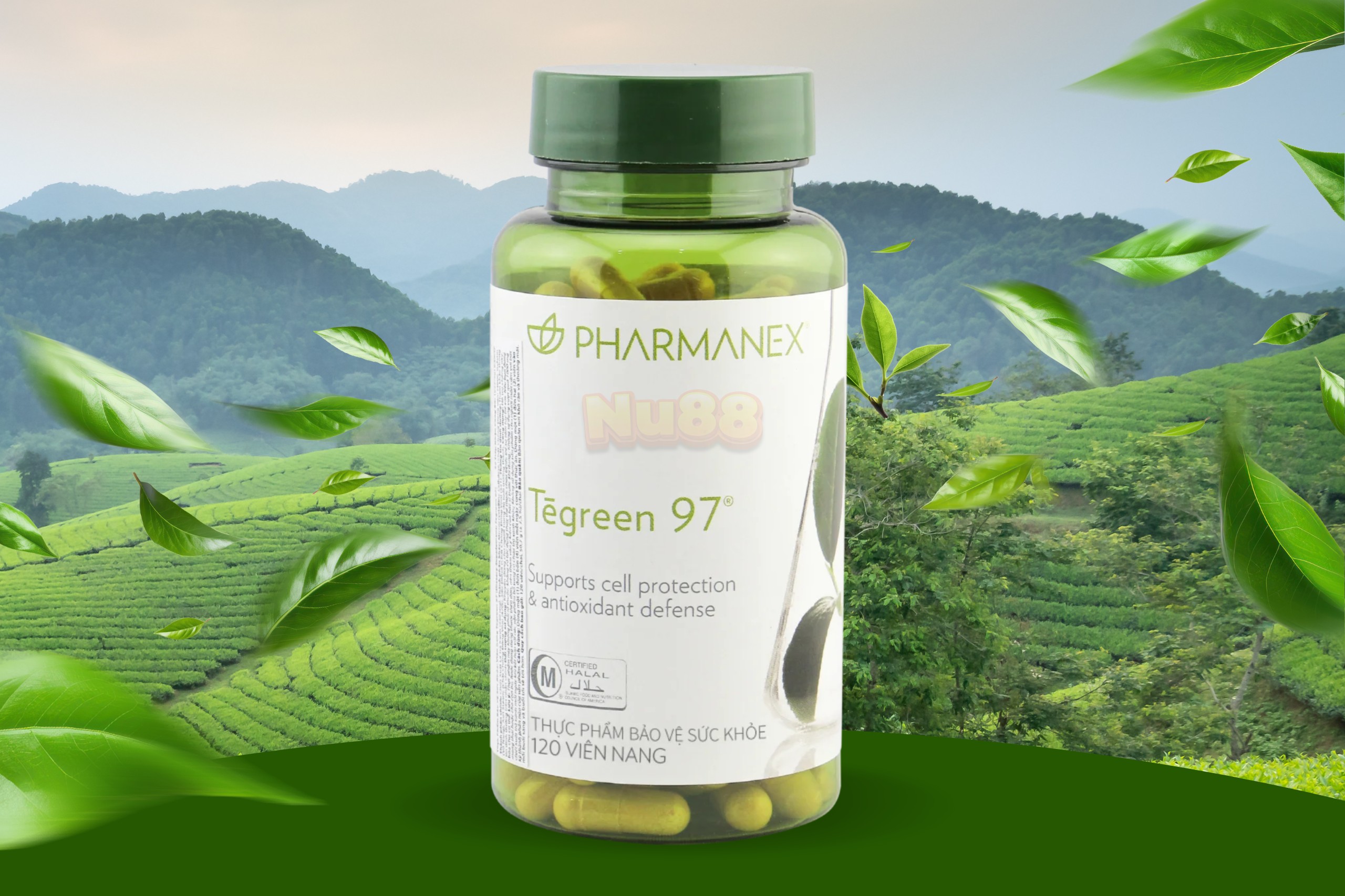 Mua Trà Xanh Tegreen 97 Nuskin Chính Hãng Giá Rẻ